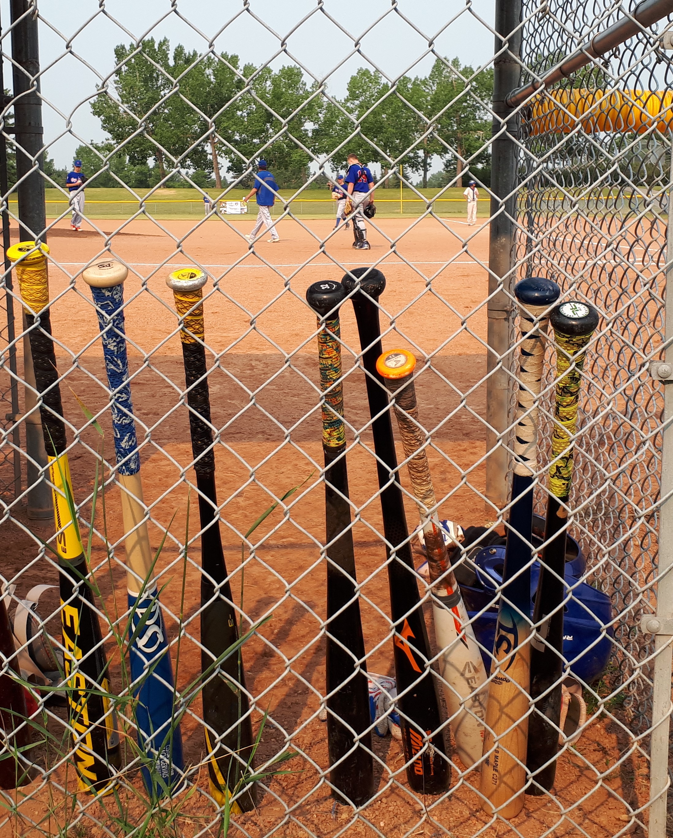 Bats_Fence – TALES OF BASEBALL