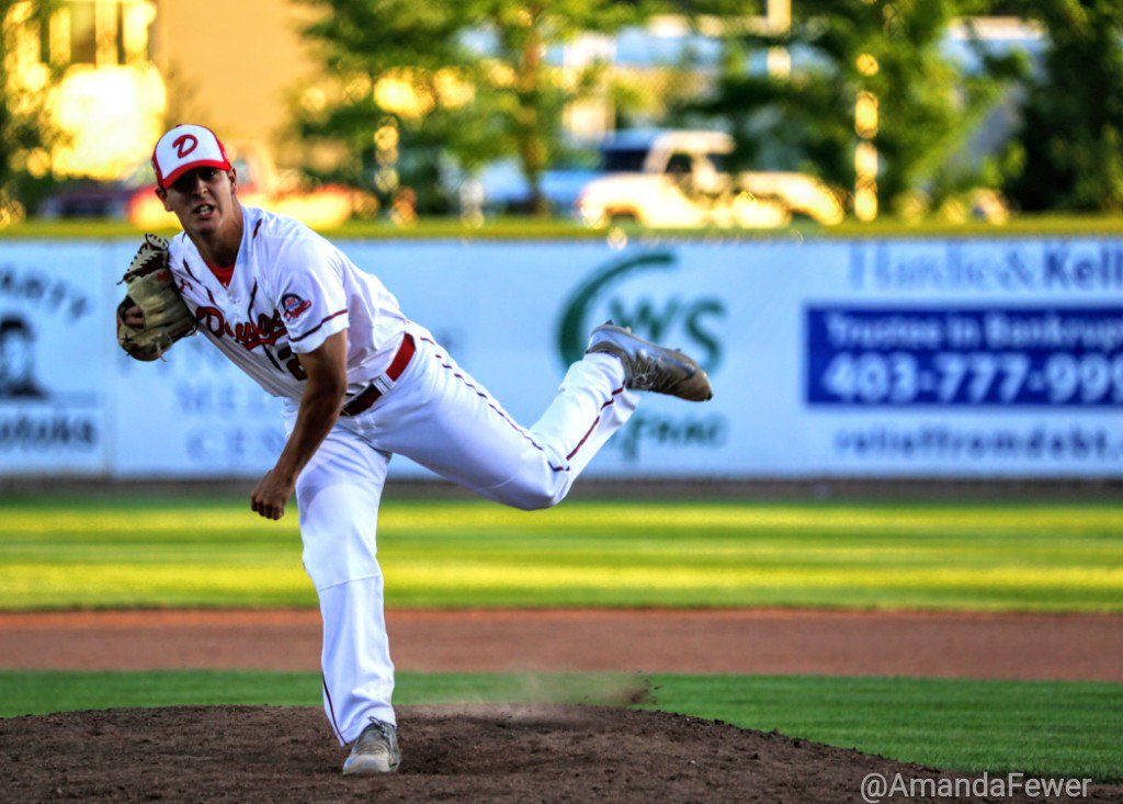 VickersDawgs2 – TALES OF BASEBALL