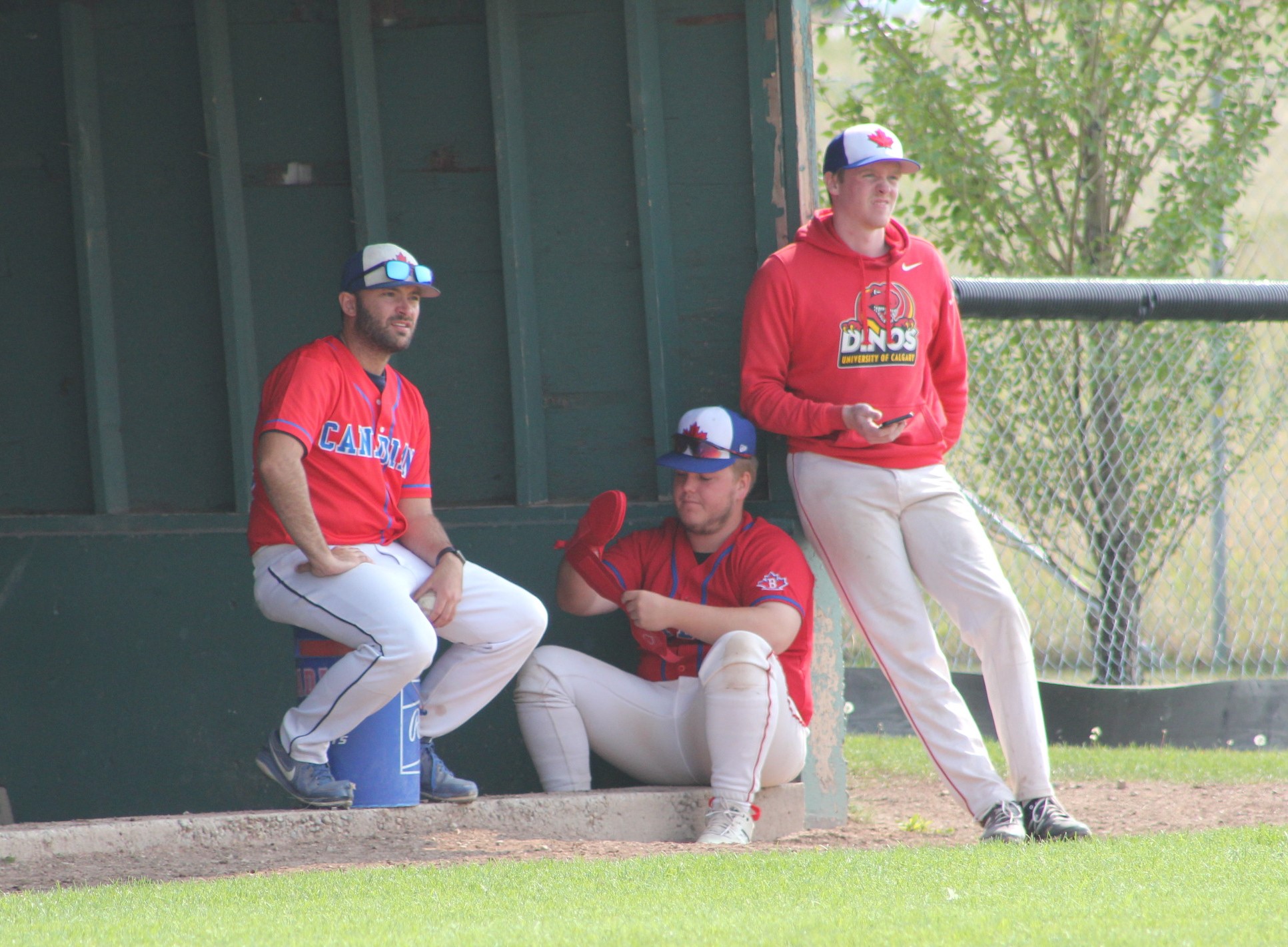 DugoutView – TALES OF BASEBALL