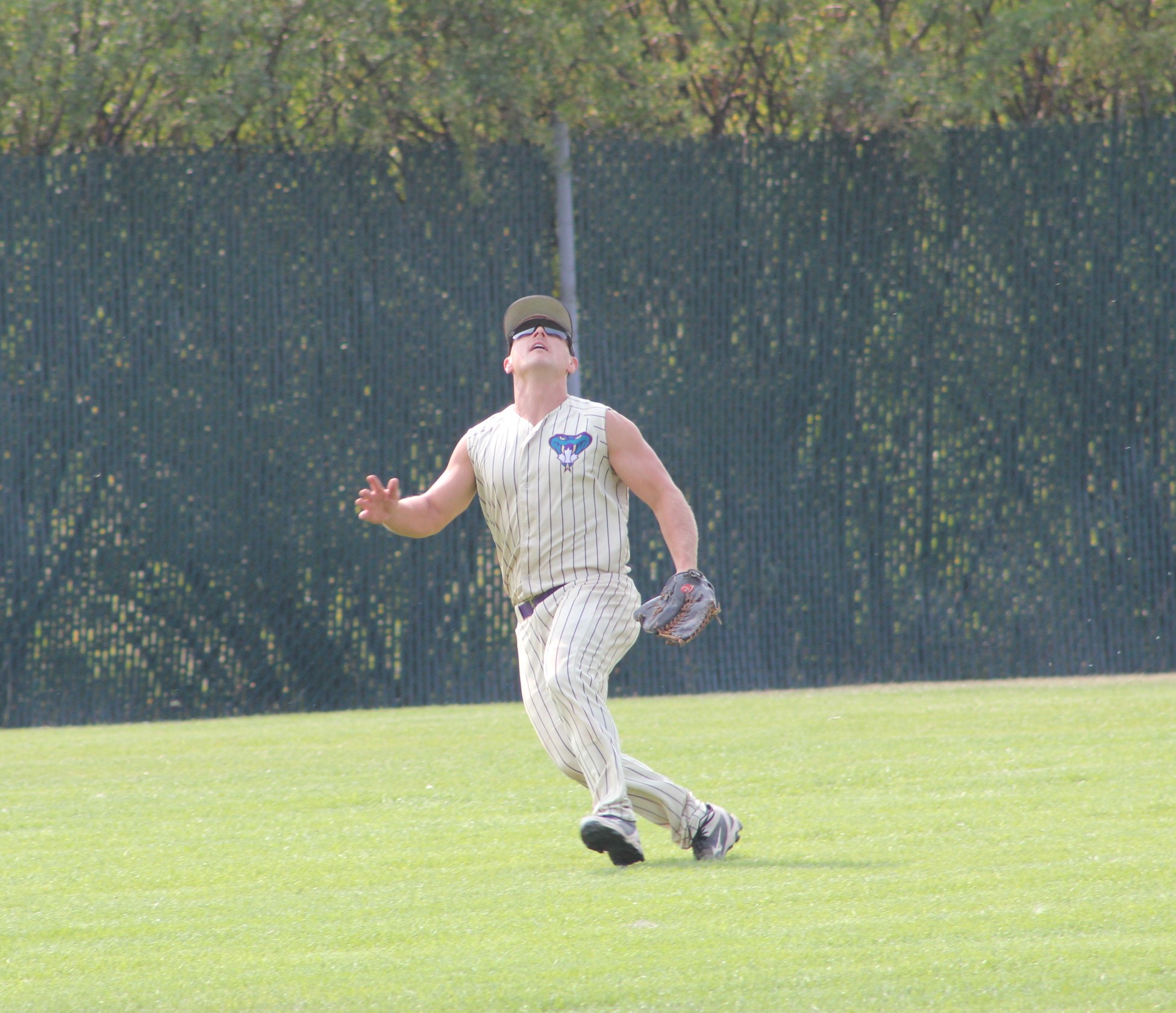 Flyball – TALES OF BASEBALL