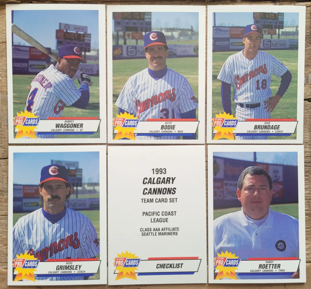 1993Cannons – TALES OF BASEBALL